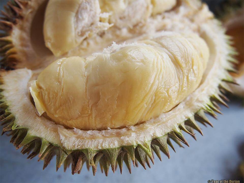 10 Durian Types You Can Get For Different Budgets